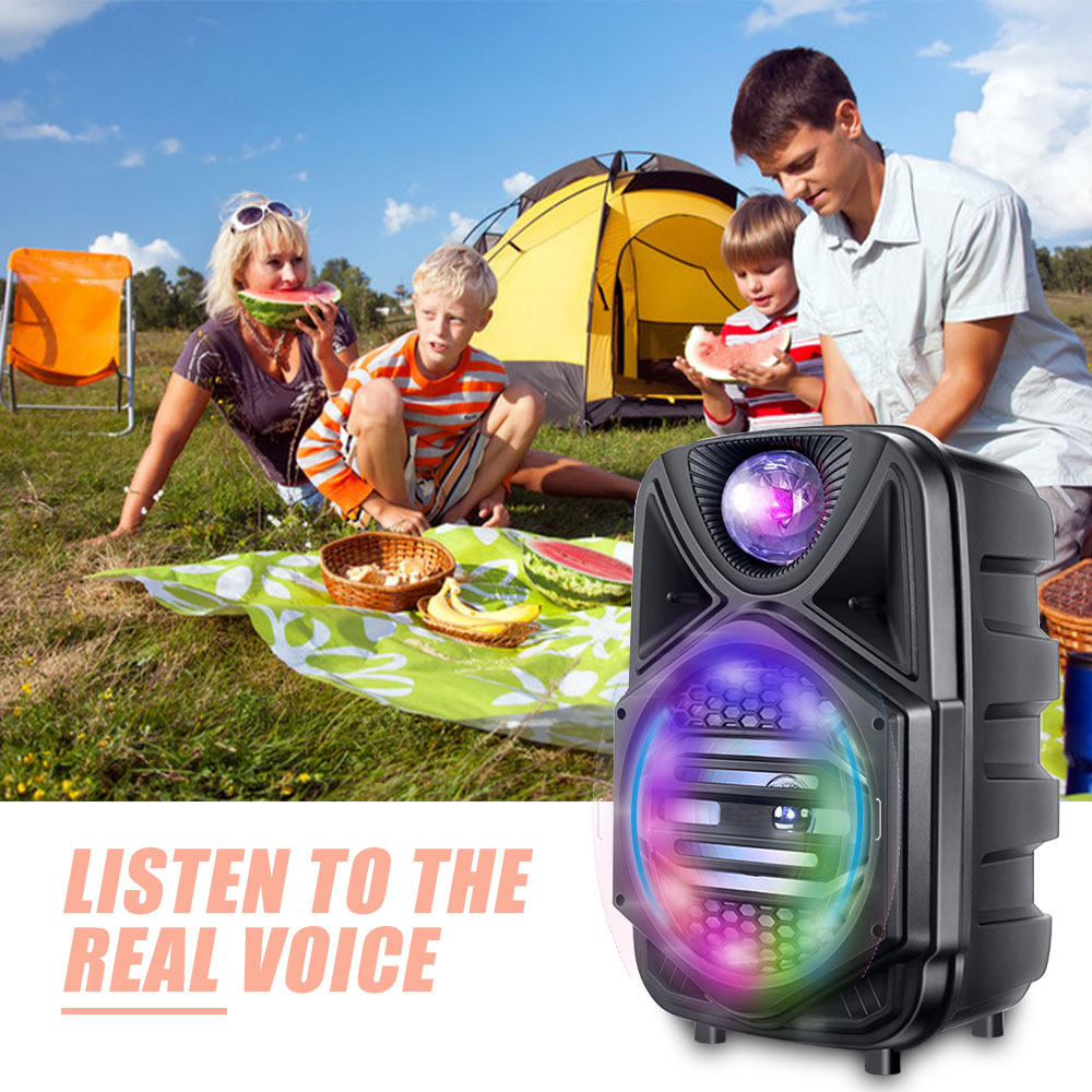 8 Inch 300W High Power Bluetooth Speaker Home Radio Audio Outdoor ...